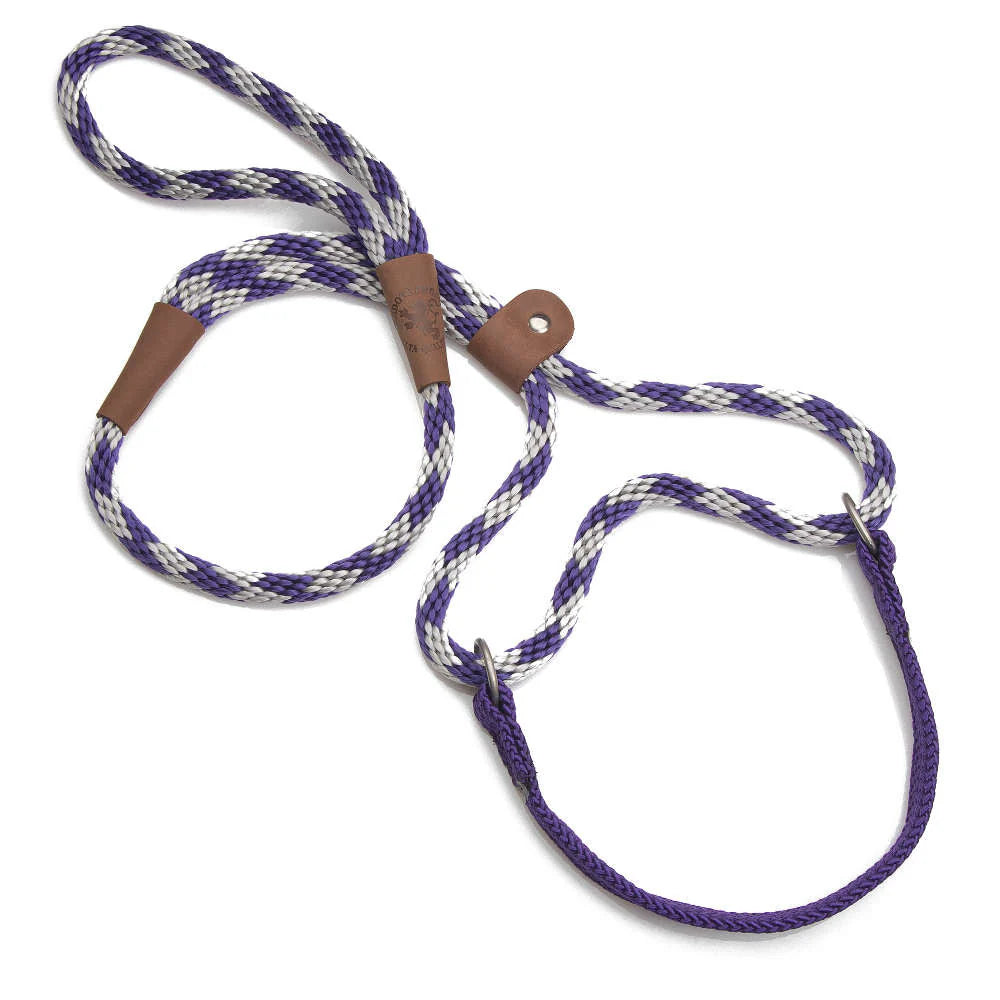 Mendota Pet Big Dog Walker Collar/Leash Amethyst, 1/2X6' – Pet ...