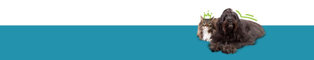 Store Locations – Pet Evolution Online Store